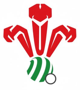 Assistant Secretary - Welsh Lawn Bowls